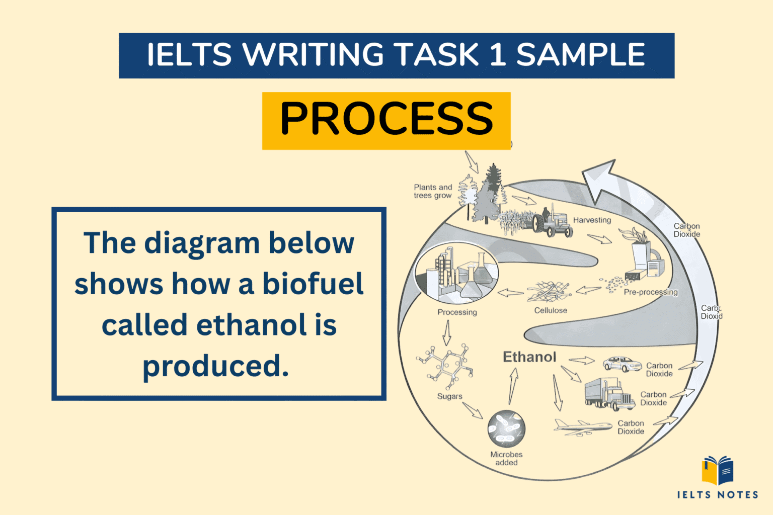 IELTS Listening Map Vocabulary {Free PDF} - IELTS Notes