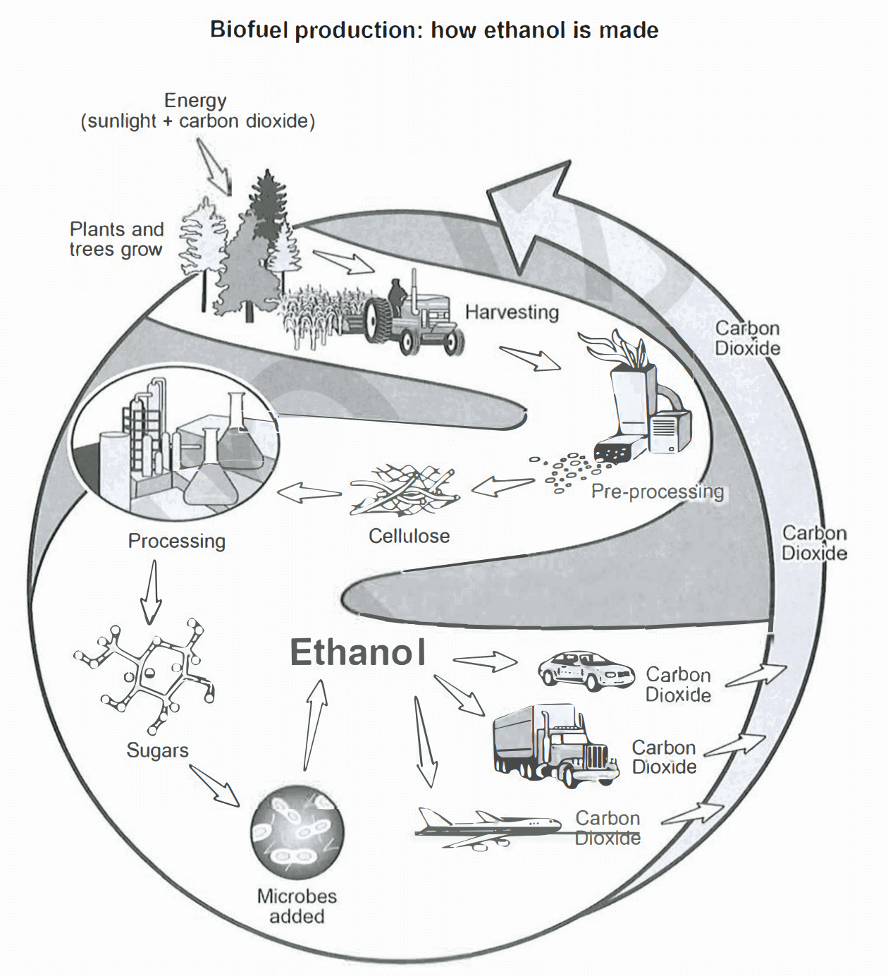 IELTS Writing Task 1: Ethanol Production Process - IELTS Notes